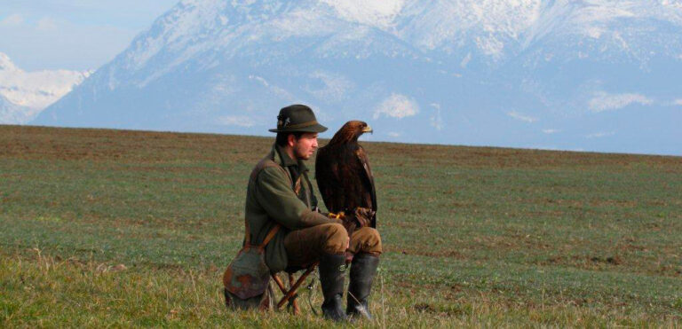 FACE | Face Position on Falconry in Europe Adopted