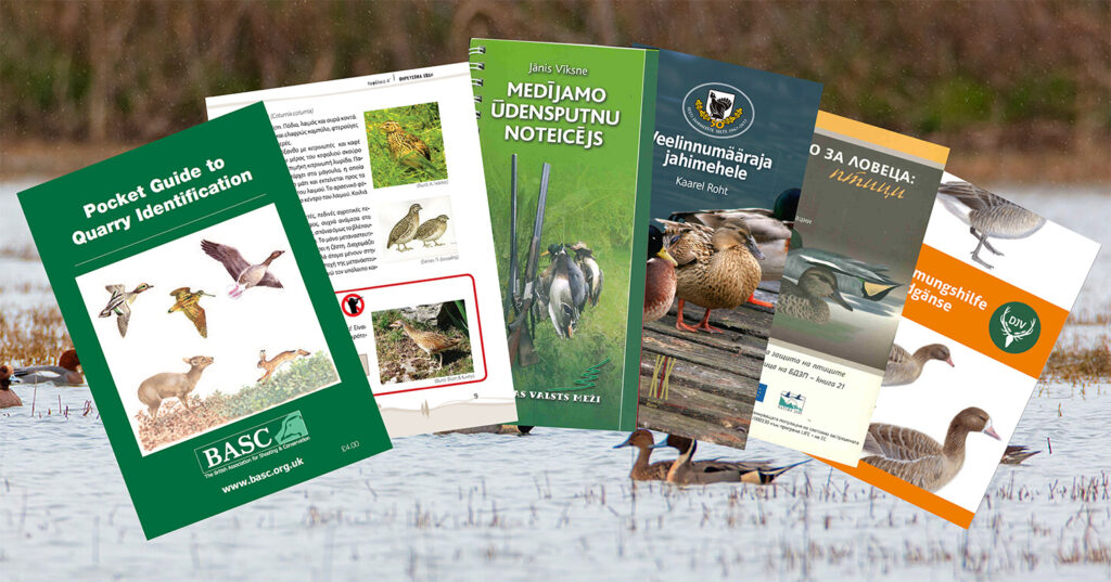 FACE | Sharing best practices in hunters’ bird identification training