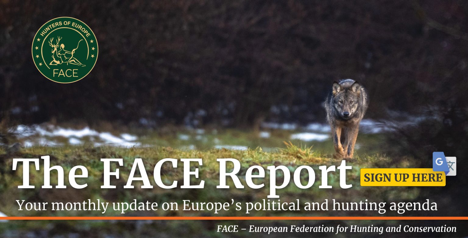 FACE | The FACE Report is Out – Read Our January Update!